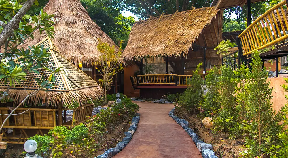 Addiction Primary Care - Holina